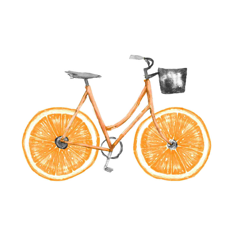 Gracie Oaks 2885600_Orange Bike | Wayfair